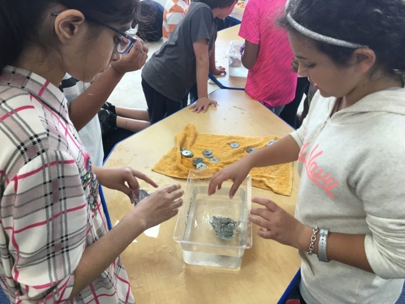 Eureka! Our Foil Boat Challenge! - Lincoln School Nepal