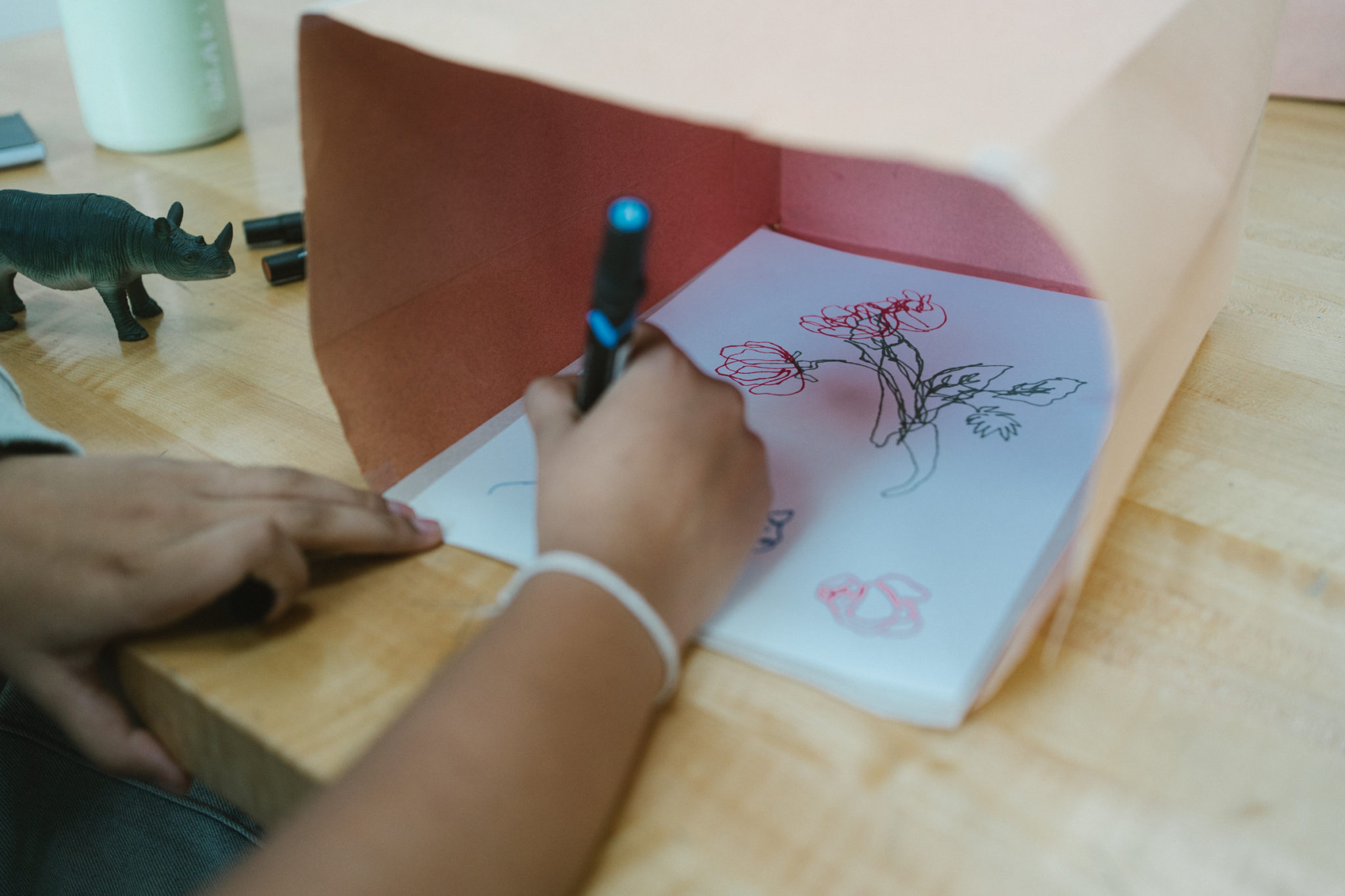 High School Art & Design Contour Drawing - Lincoln School Nepal